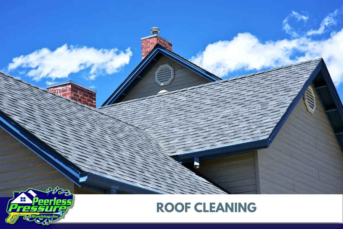 What Is Roof Cleaning and Why Is It Important? | Peerless Pressure ...